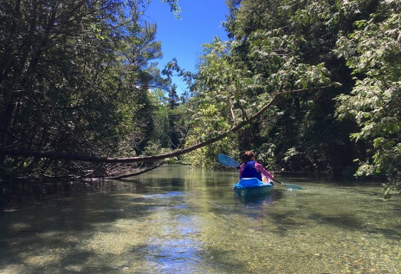 Places to Kayak in Michigan: Top Kayaking Spots Reviewed ...