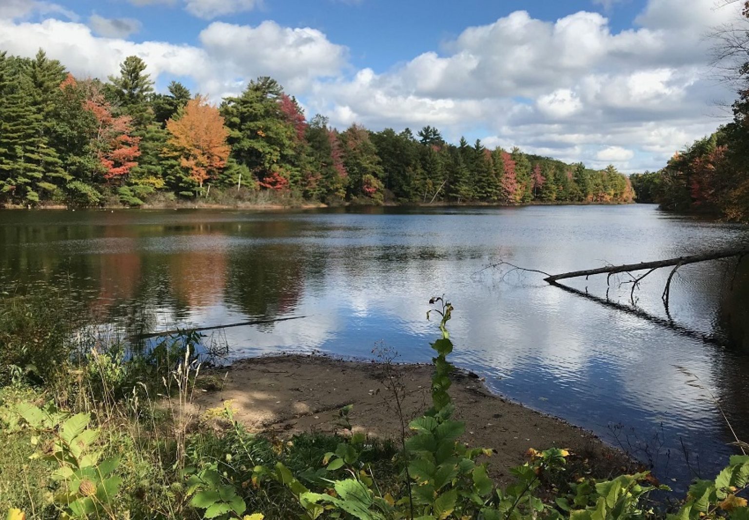 Places to Kayak in Michigan: Top Kayaking Spots Reviewed ...