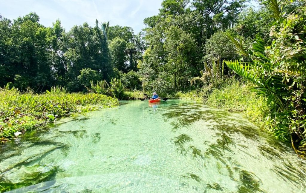 Best Kayaking in Florida: Top Places to Kayak in the Sunshine State ...