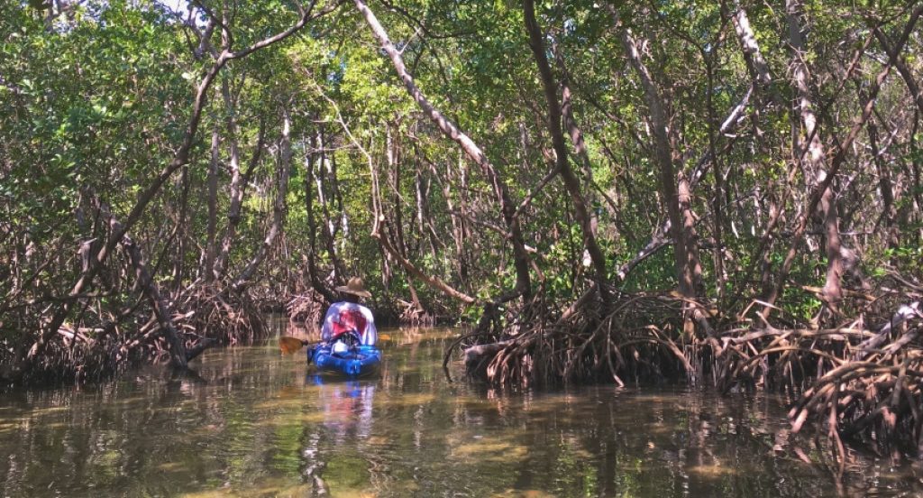 Best Kayaking in Florida: Top Places to Kayak in the Sunshine State ...