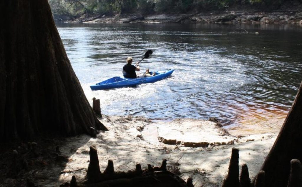 Best Kayaking in Florida: Top Places to Kayak in the Sunshine State ...