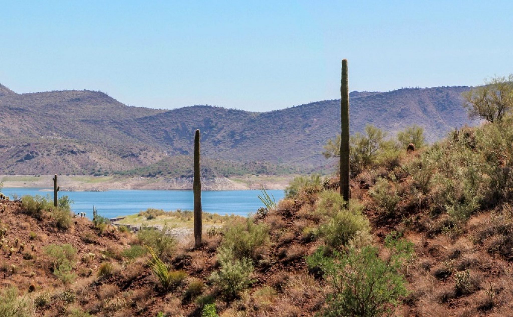 Top Spots to Kayak and Canoe in Arizona - PaddlingSpace.com