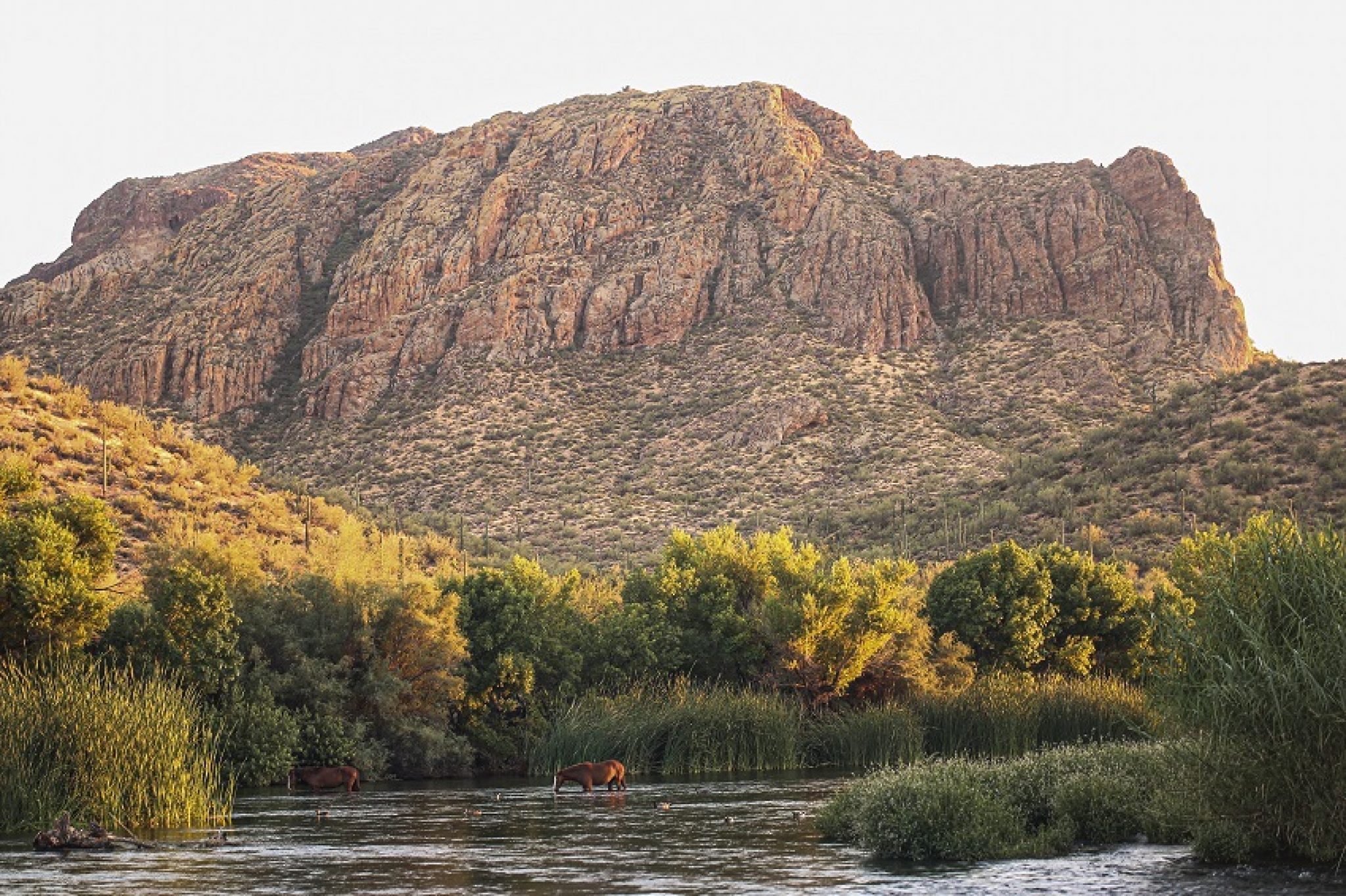Top Spots to Kayak and Canoe in Arizona - PaddlingSpace.com