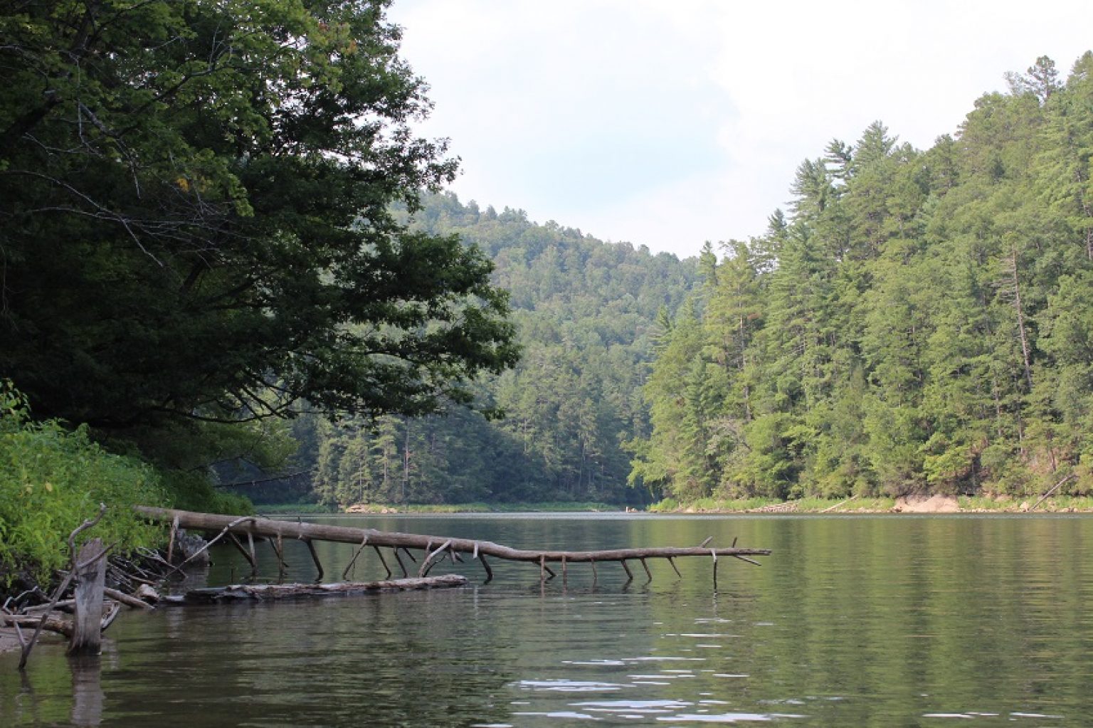 Places to Kayak in South Carolina - PaddlingSpace.com