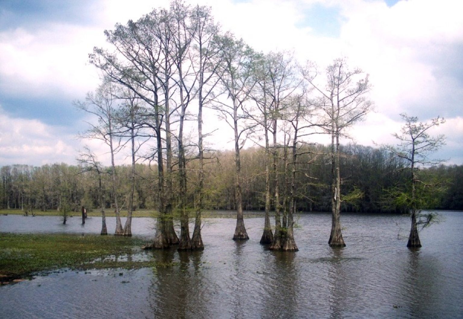 🛶 Best Places to Kayak in Texas [2023] - PaddlingSpace.com