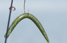 How to Setup and Fish the Wacky Rig: Tips for 2023 - PaddlingSpace.com