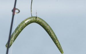 How to Setup and Fish the Wacky Rig: Tips for 2023 - PaddlingSpace.com