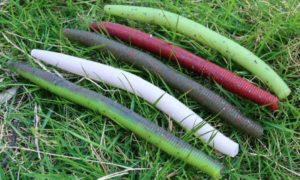 How to Setup and Fish the Wacky Rig: Tips for 2023 - PaddlingSpace.com