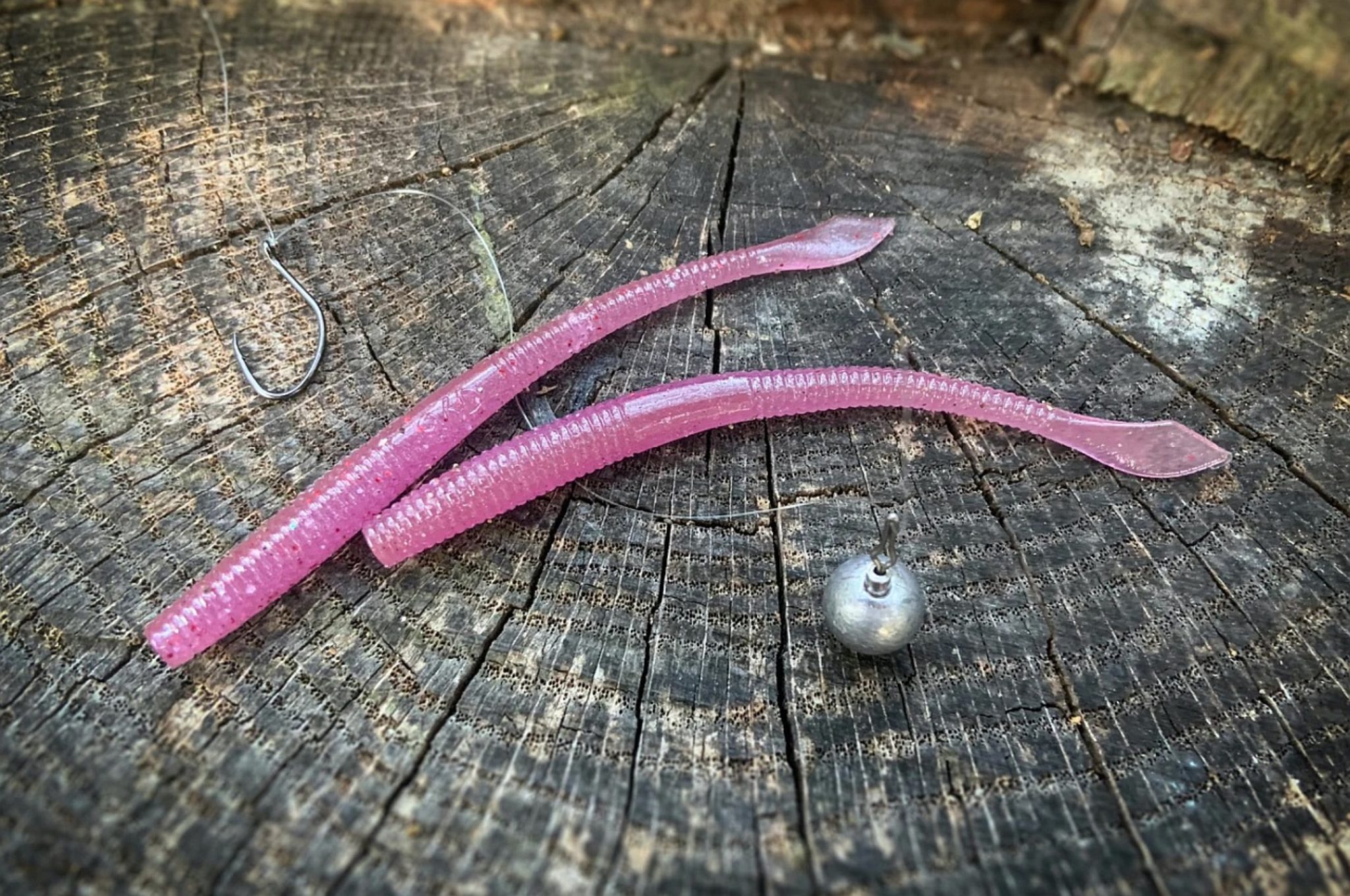 How to Set Up and Fish the Drop Shot Rig: Tips for 2023 - PaddlingSpace.com