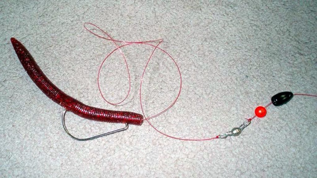 How to Set Up and Fish the Carolina Rig: Tips for 2023 - PaddlingSpace.com