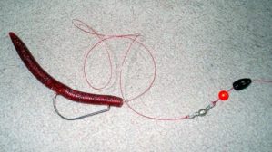 How to Set Up and Fish the Carolina Rig: Tips for 2023 - PaddlingSpace.com